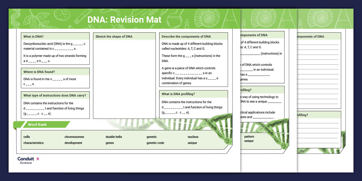 DNA: Revision Mat Learner Activity Sheet (teacher made)
