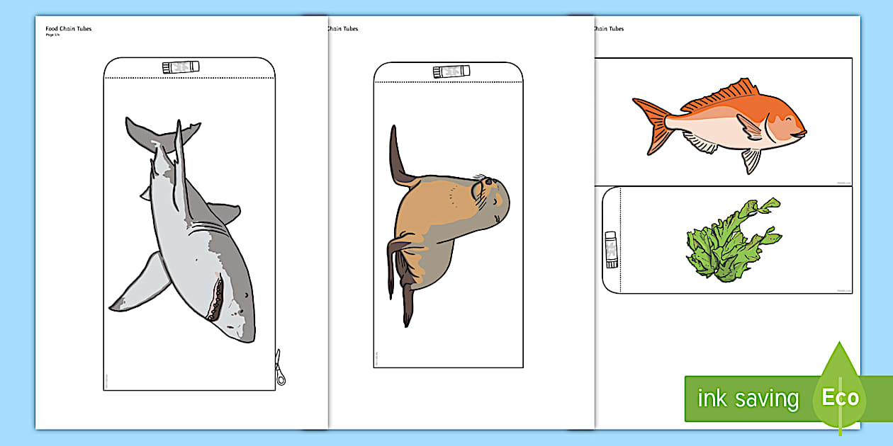 Sea Food Chain Tubes Activity - Food Chain Tubes Activity
