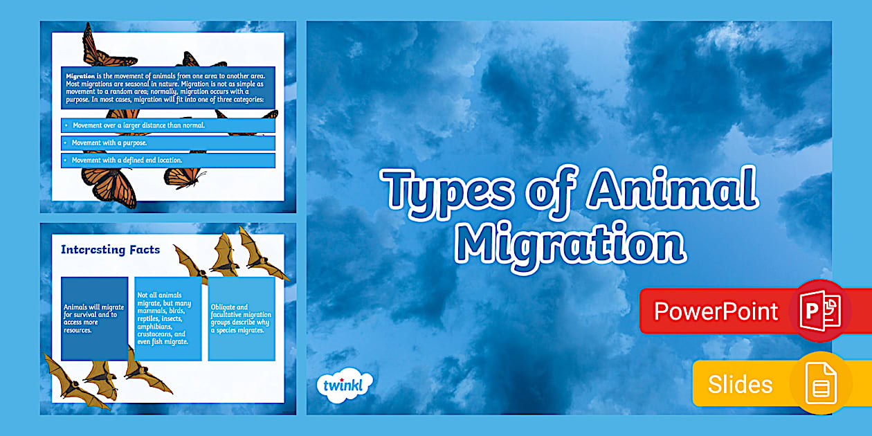 Seventh Grade Animal Migration PowerPoint & Google Slides