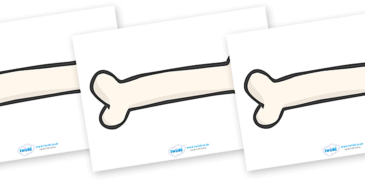 👉 Editable Bones (A4) (teacher made) - Twinkl
