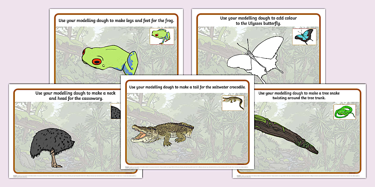 Australian Tropical Rainforest Animals Modelling Dough Mats