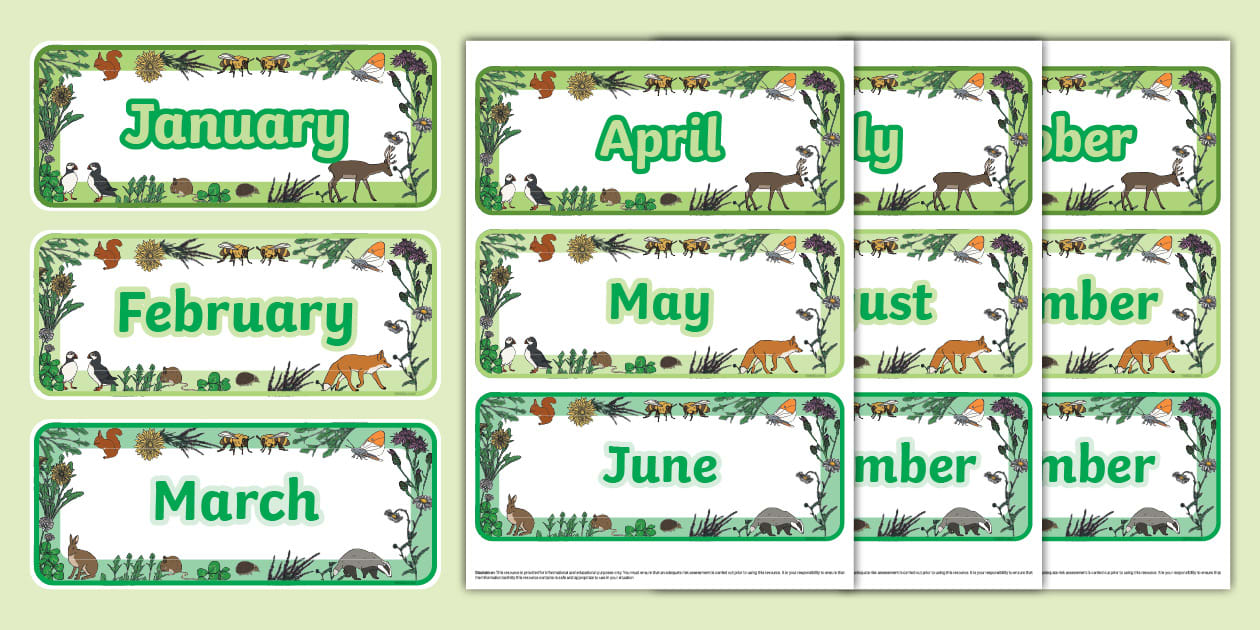 Ireland Flora and Fauna Themed Months of the Year Display Cards