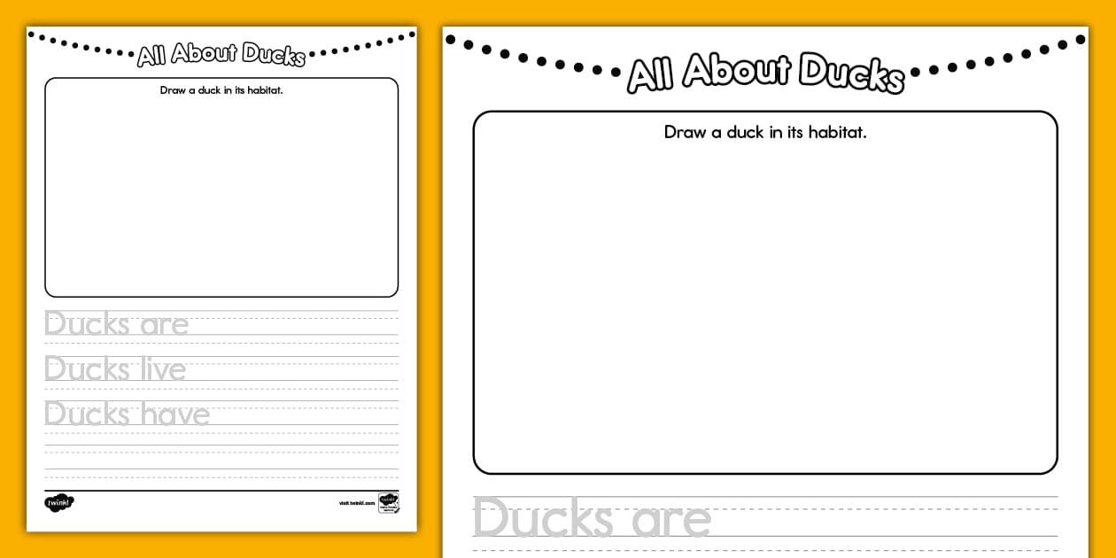 All About Ducks Draw and Write Worksheet (professor feito)