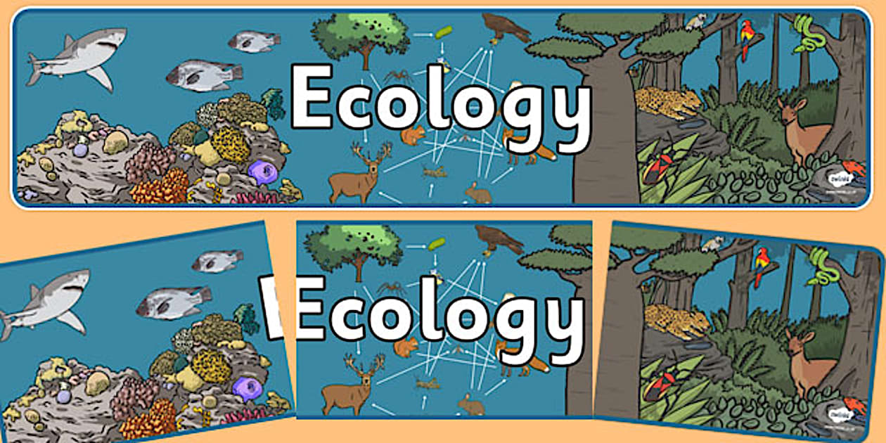 Ecology Display Banner NZ (teacher made) - Twinkl