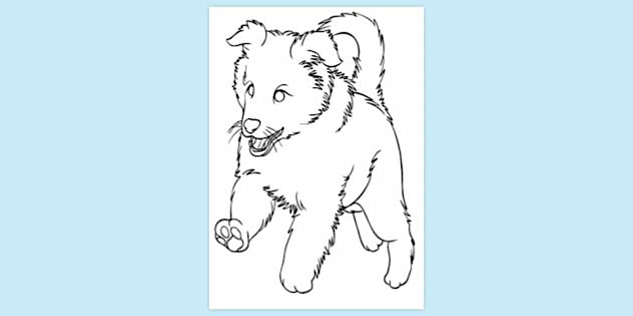 Puppy Dog Colouring Pages (teacher made) - Twinkl
