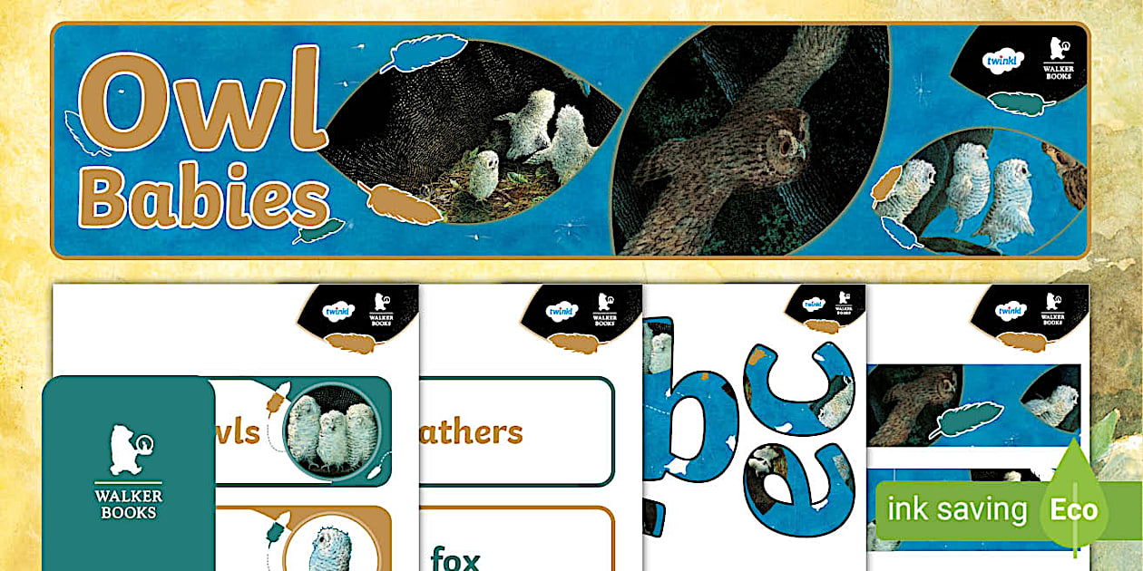 FREE! - Owl Babies: Display Pack (teacher made) - Twinkl