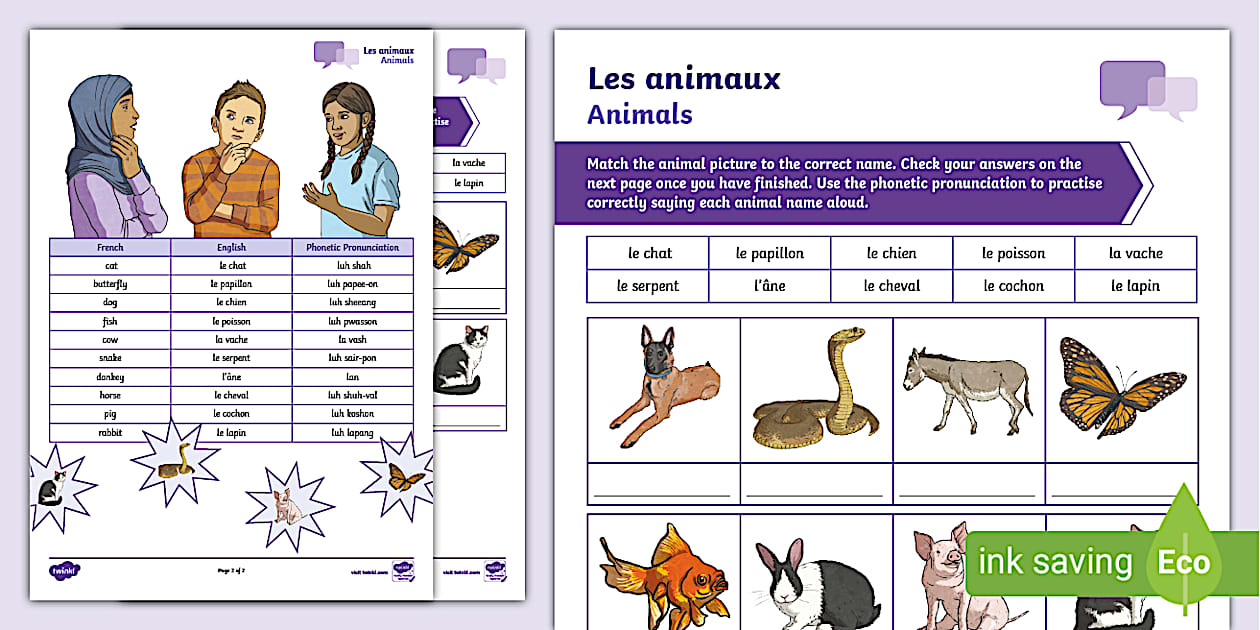 Black and White French: Animals Match and Say Activity Sheet