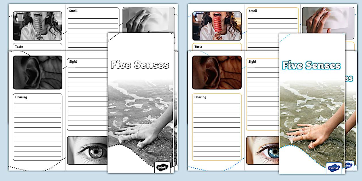 Five Senses Leaflet Template (teacher made) - Twinkl