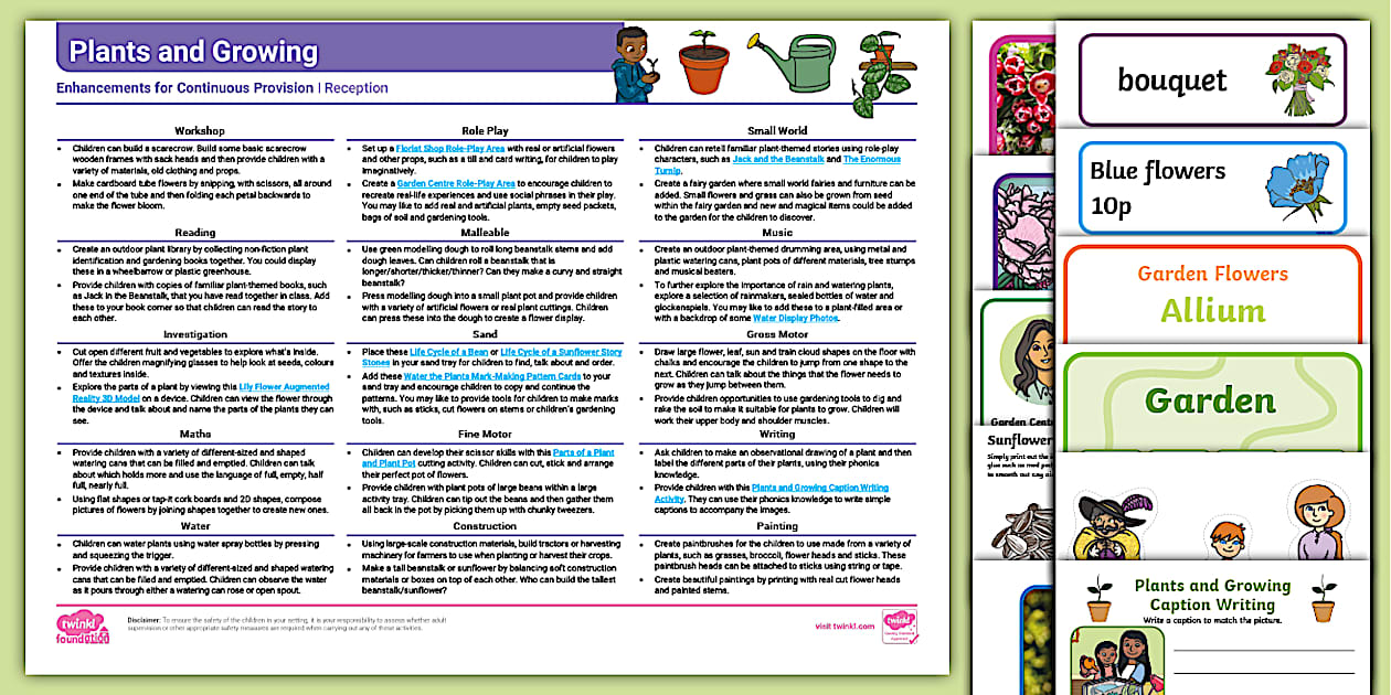 EYFS Plants Continuous Provision Planning Resource Pack