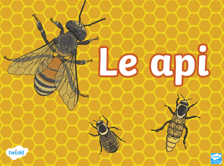 La Giornata Mondiale delle Api - Informazioni e Risorse