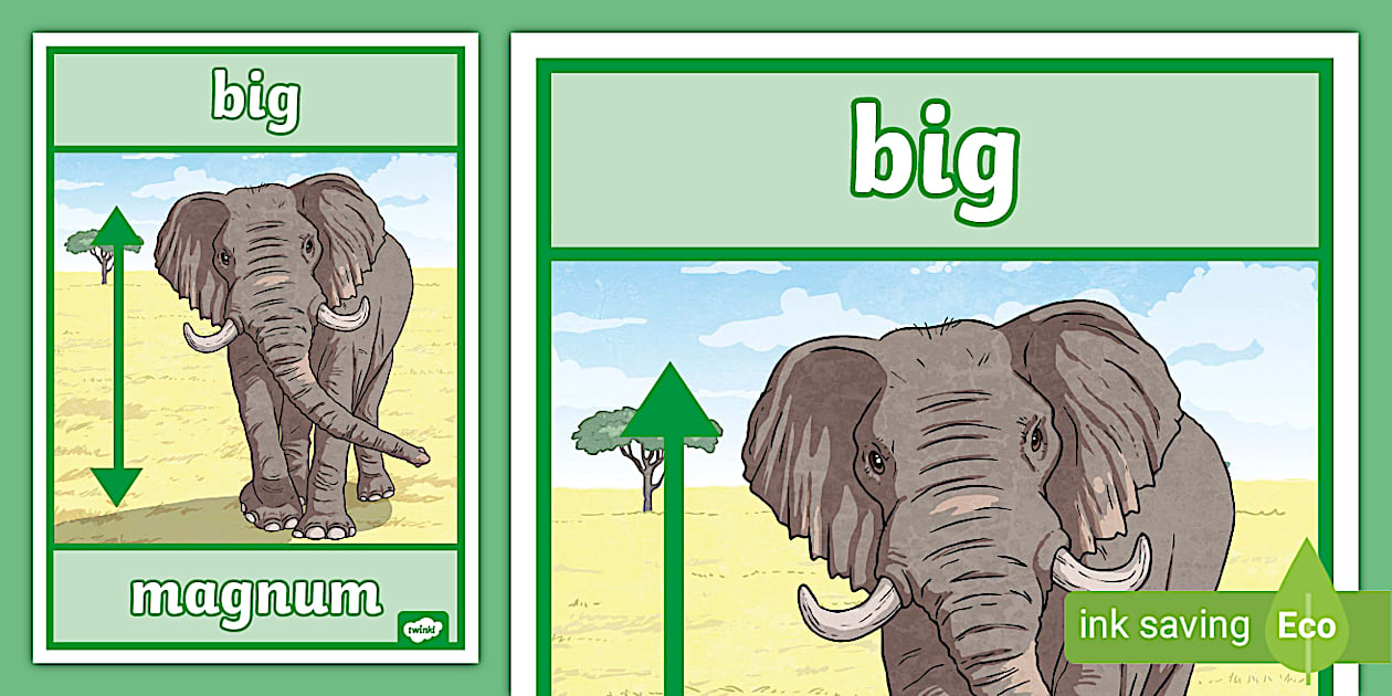 👉 Latin Word for Big Display Poster (teacher made)