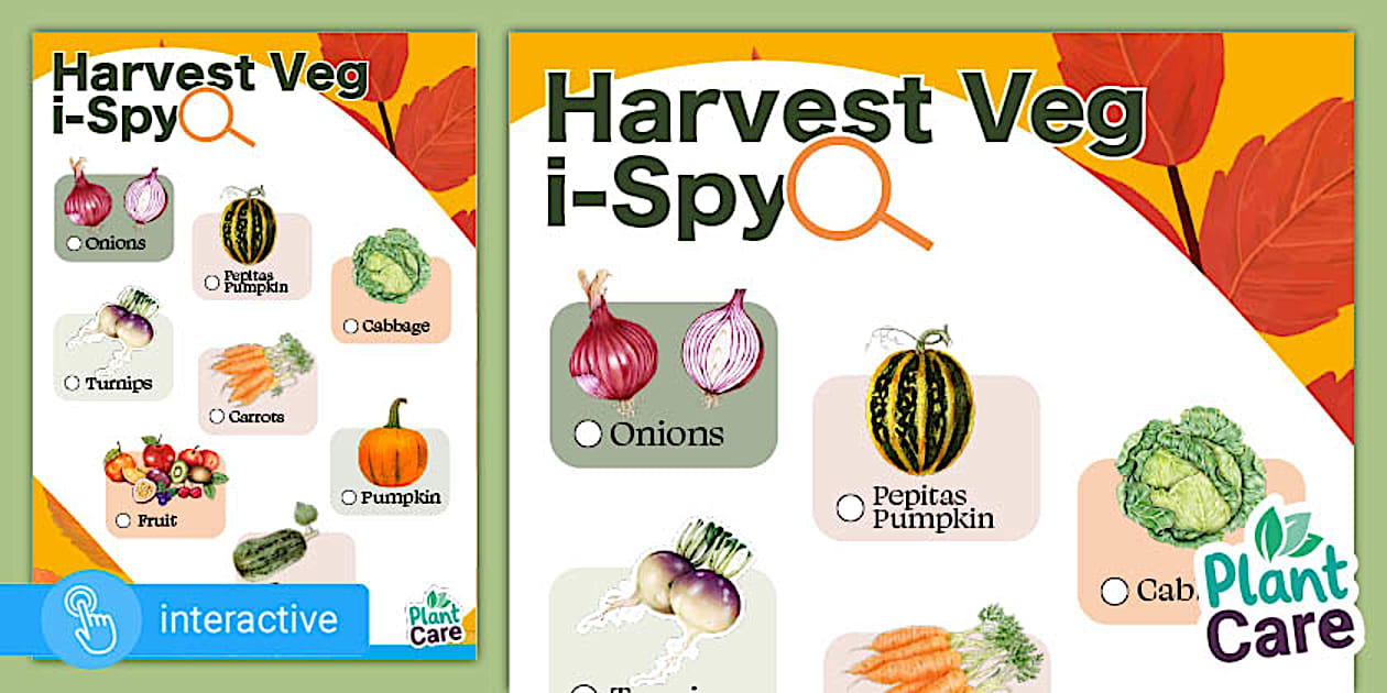 Harvest Veg I-Spy Activity