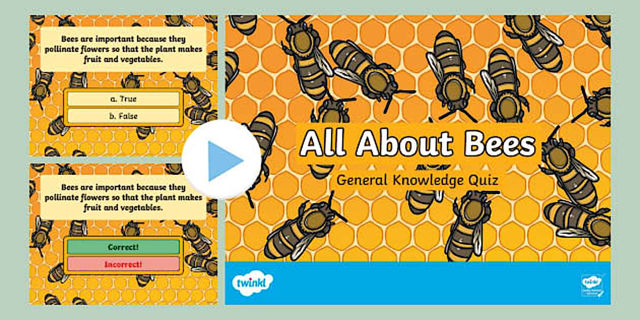 Bee Quiz Questions | General Knowledge Quiz (teacher made)