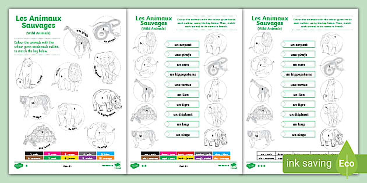 👉 Wild French Animals Colouring and Matching Activity | Twinkl