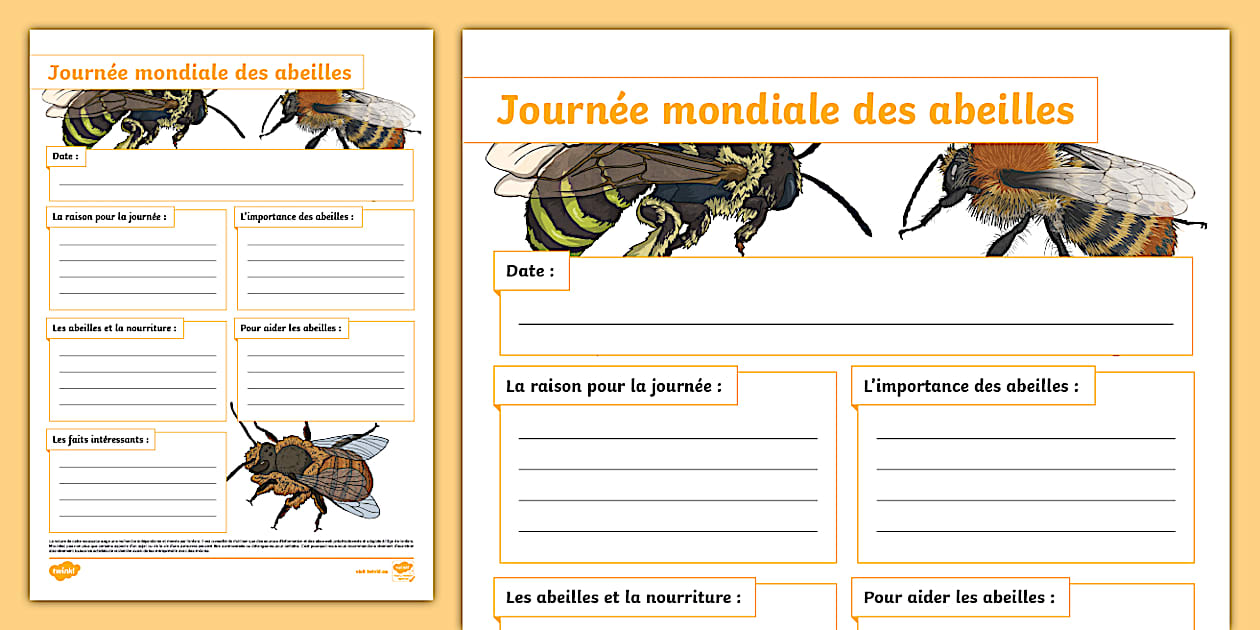 Fiches d'informations : Journée mondiale des abeilles