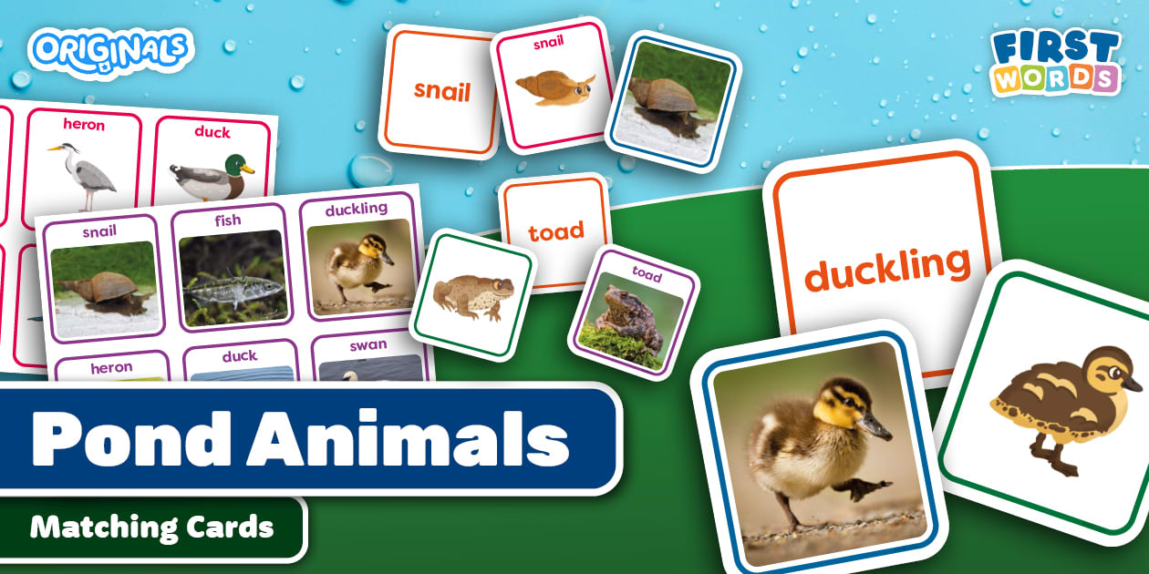 Originals First Words Matching Cards: Pond Life