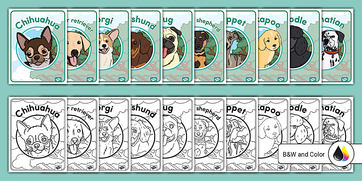Printable Posters of Dog Breeds for Kids | Twinkl USA