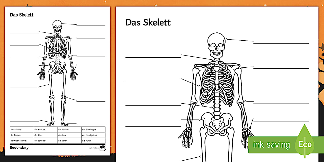 Skeleton Labelling Activity (teacher made) - Twinkl