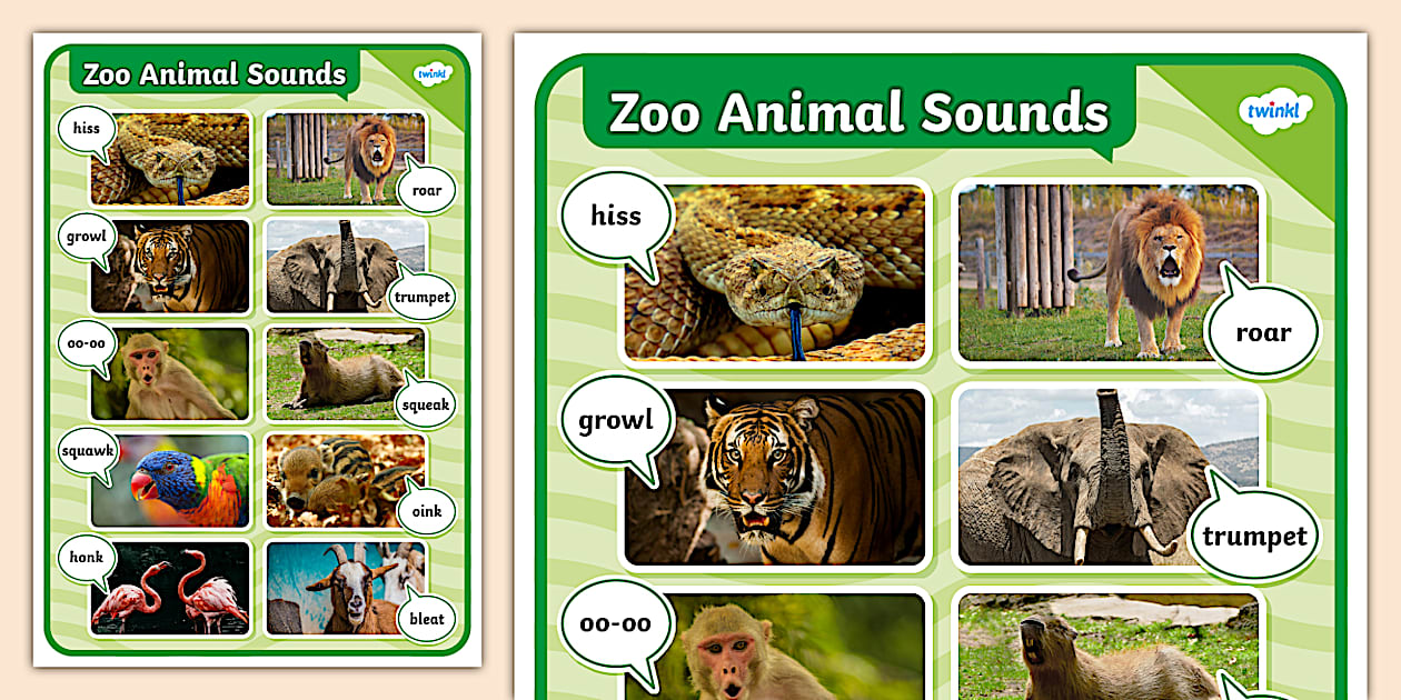 Zoo Animal Sounds Display Poster (teacher made) - Twinkl