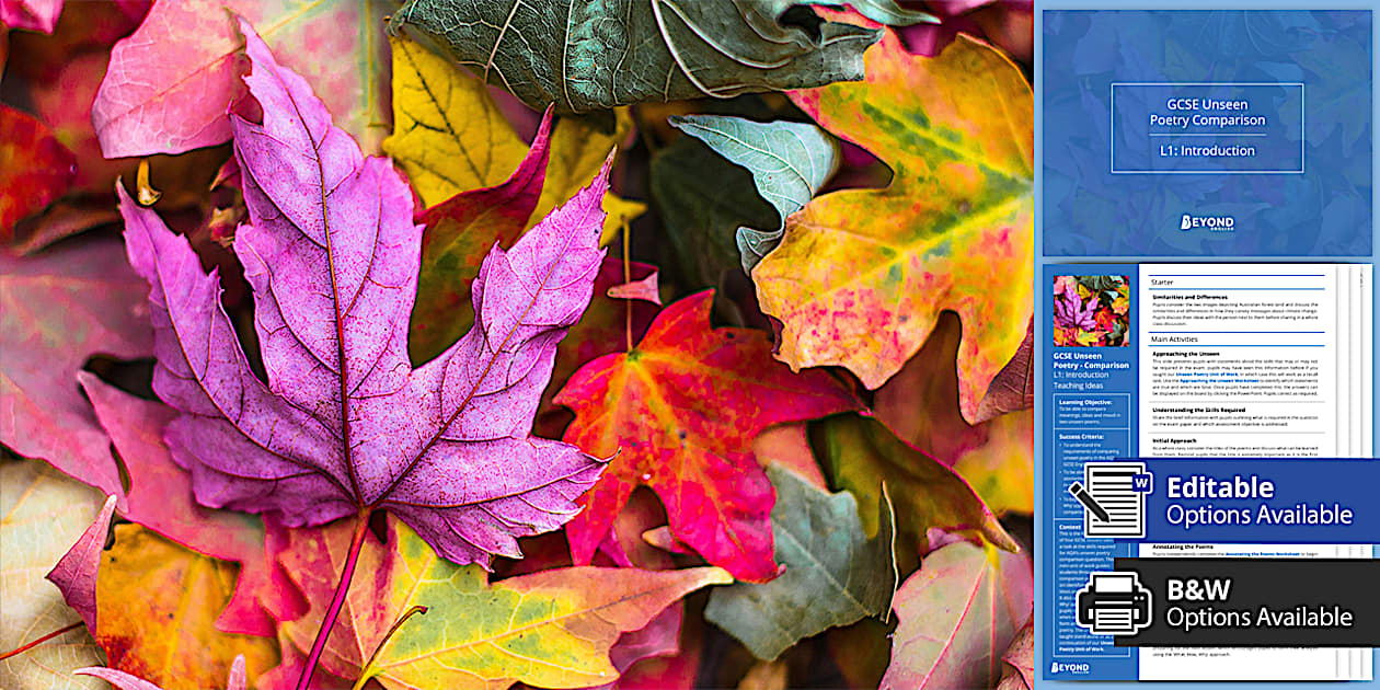 Unseen Poetry Comparison GCSE | Lesson 1 | Beyond English