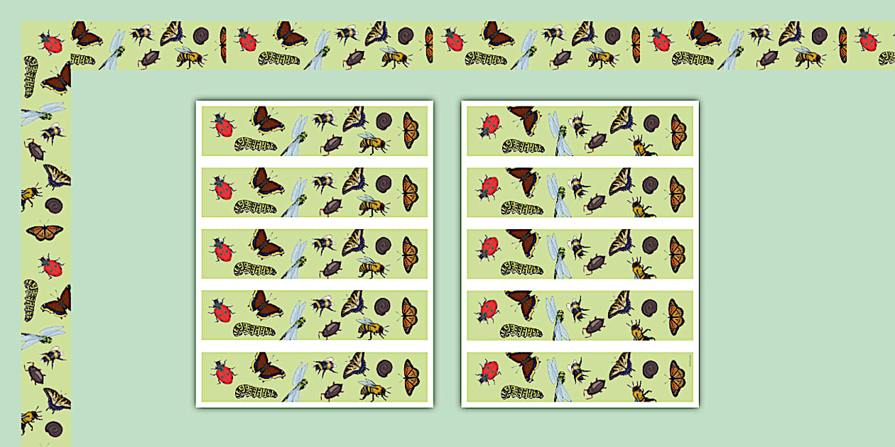 Insects and Bugs Bulletin Board Borders (Teacher-Made)
