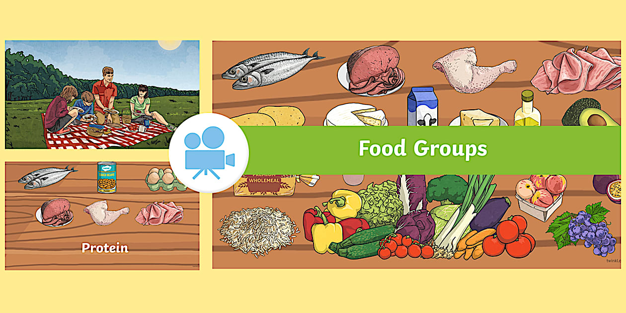 Food Groups Quick Facts Video | Twinkl Go! (teacher made)