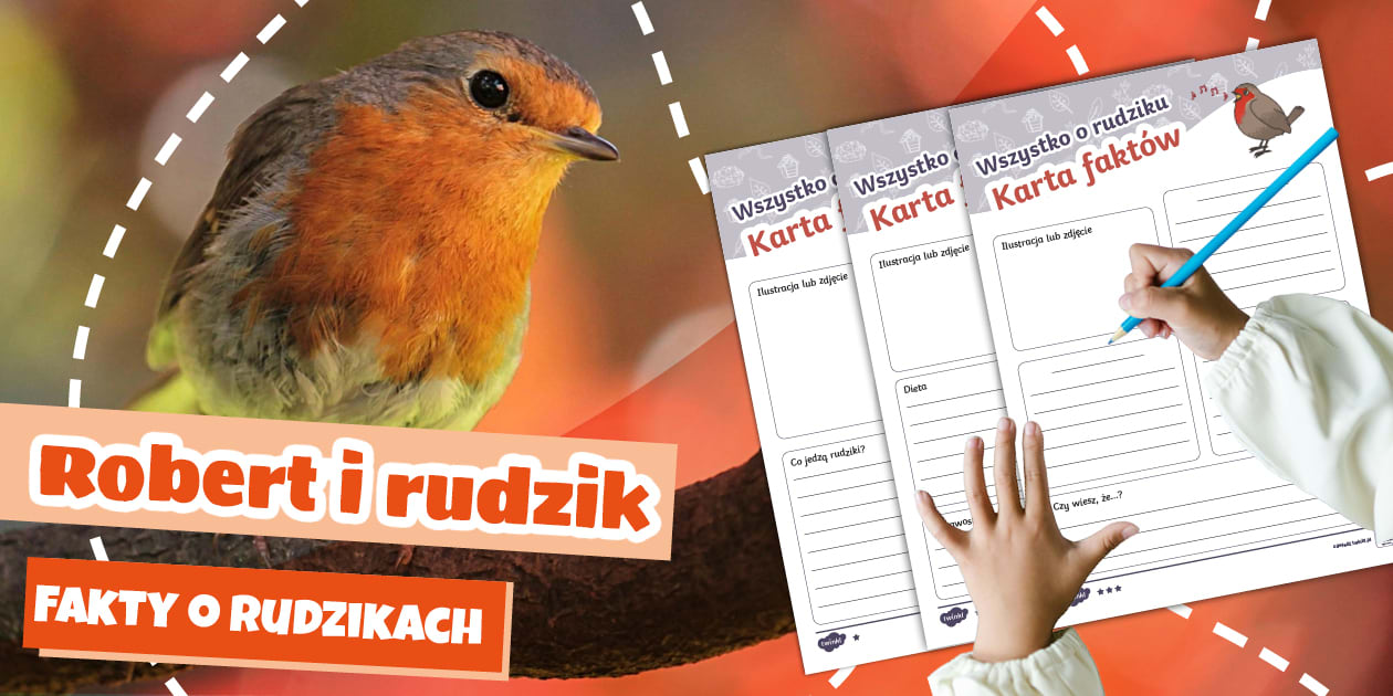 Robert i rudzik | Fakty o rudziku | Karta pracy