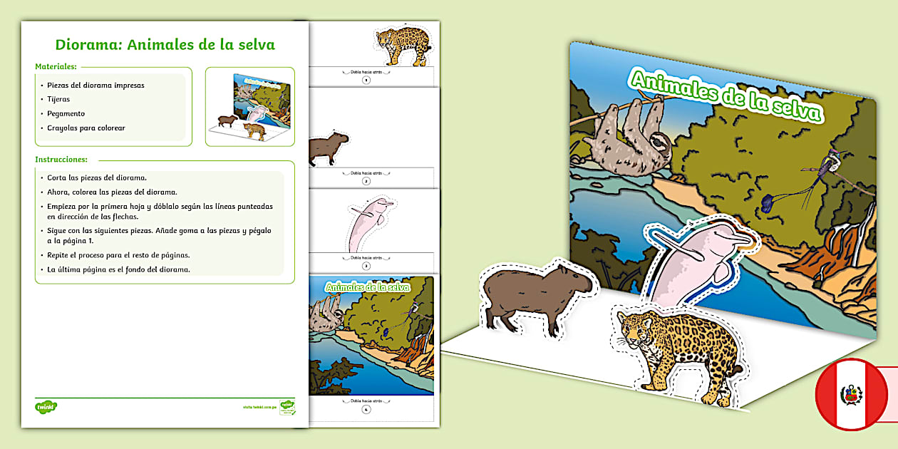 Diorama de animales de la selva | Twinkl