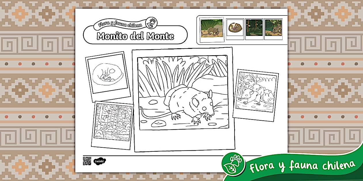 Flora y Fauna | Chile | Monito del Monte