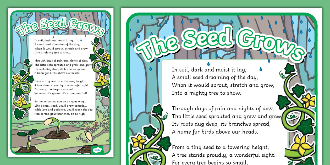 The Seed Grows Poem Example (professor feito) - Twinkl