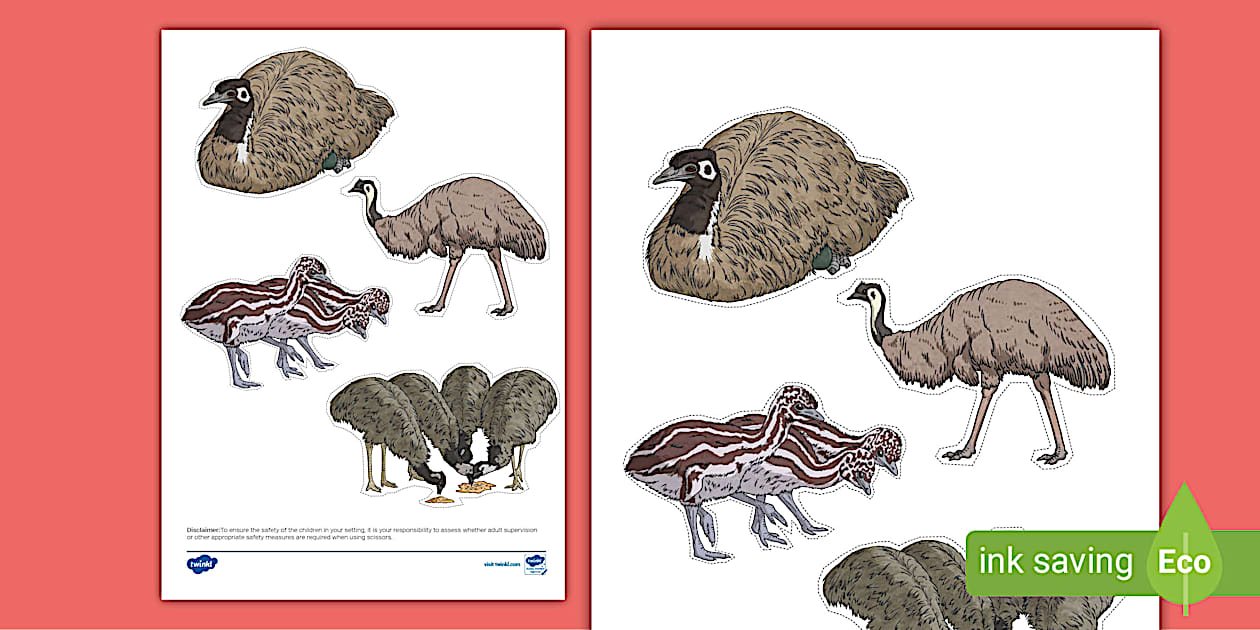 Emu Bird Display Cut-Outs (teacher made) - Twinkl