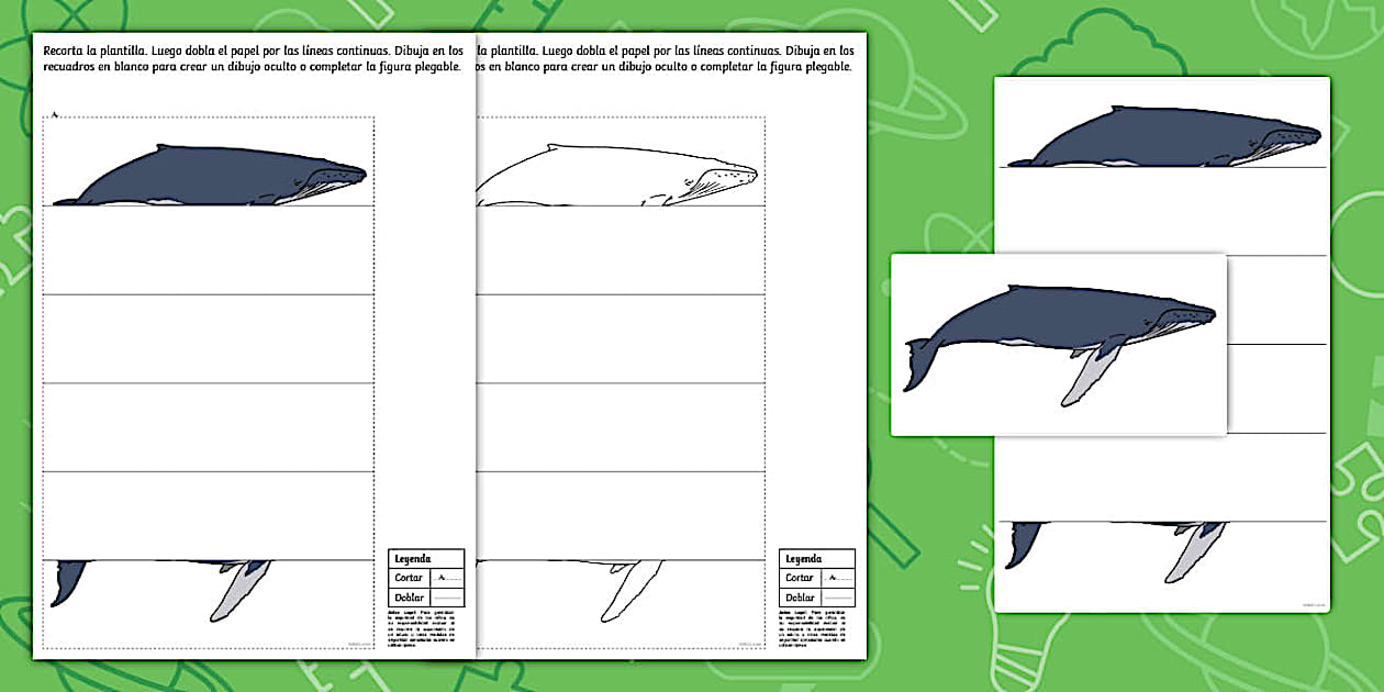 Plantilla de Arte Plegable: Ballena (teacher made) - Twinkl