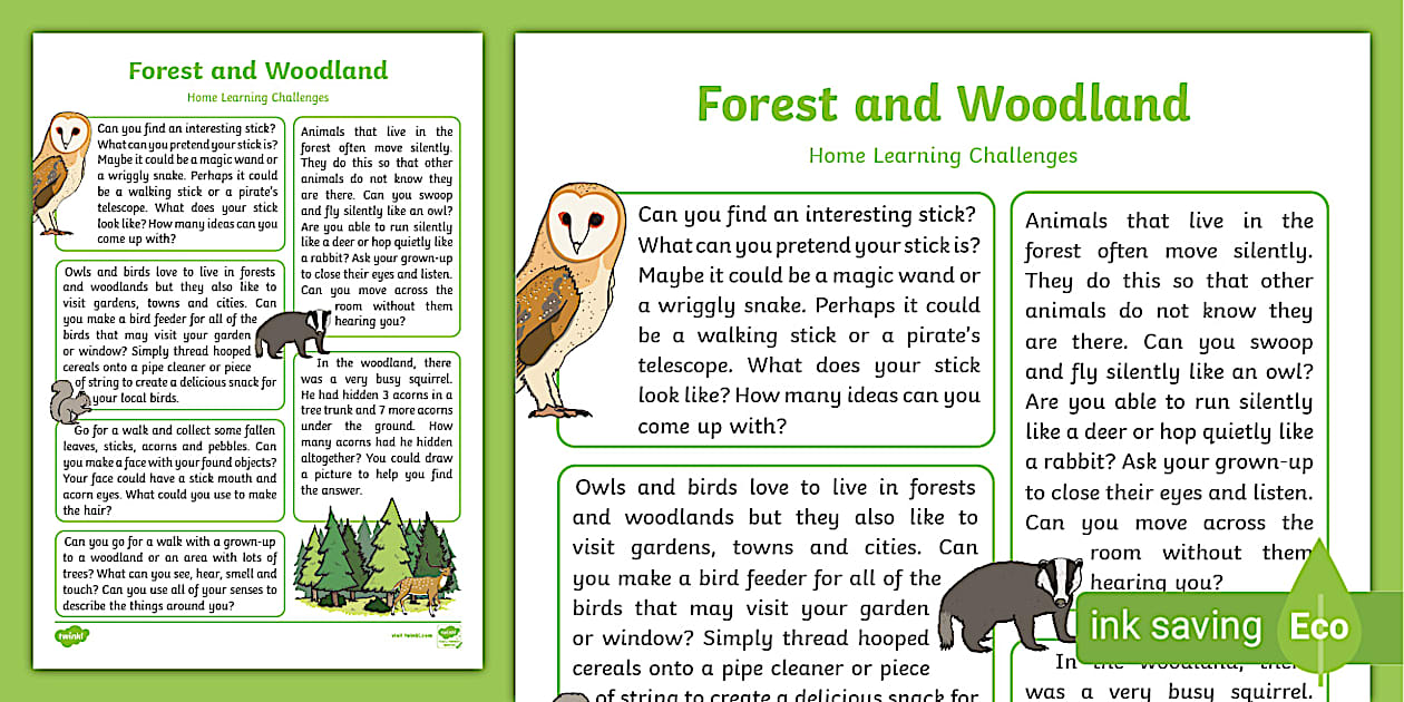 Forest and Woodland Home Learning Challenges Reception FS2