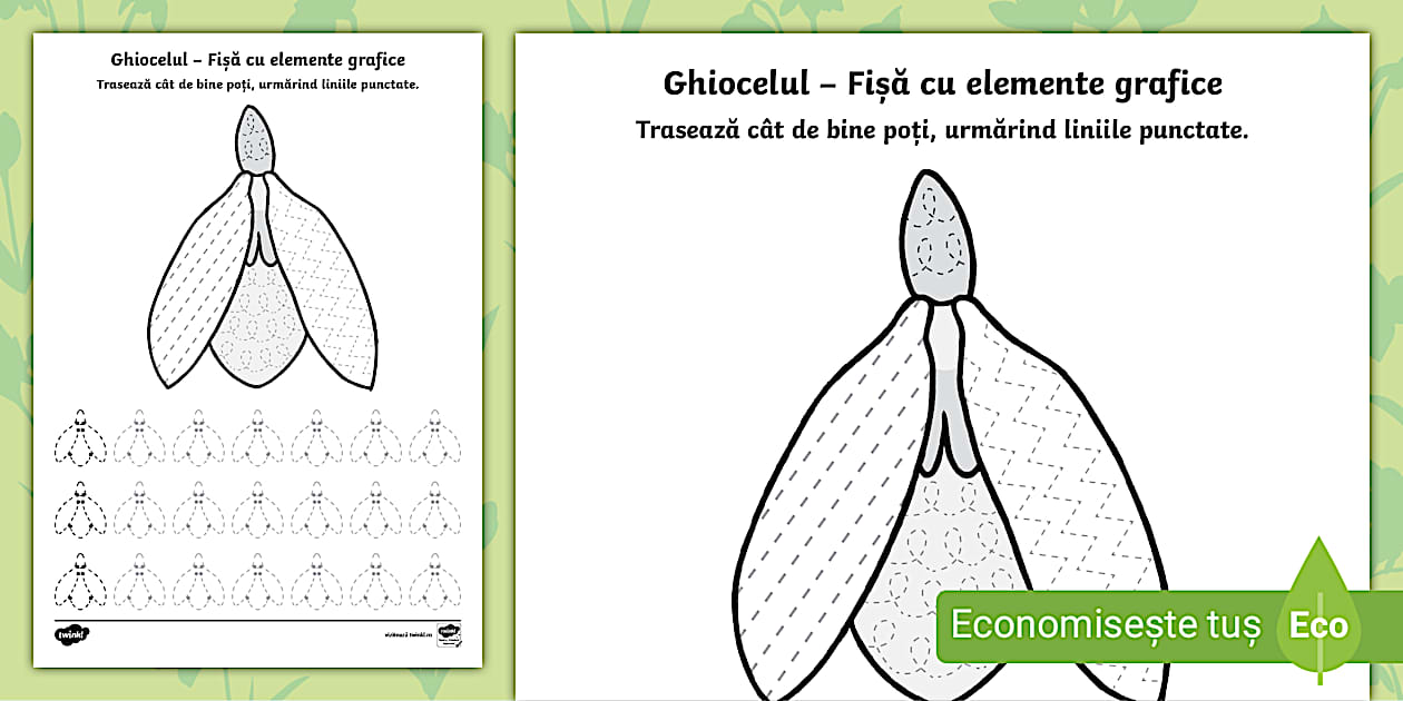 Ghiocelul – Fișă cu elemente grafice - Twinkl Ghiocelul – Fișă cu elemente grafice - Twinkl