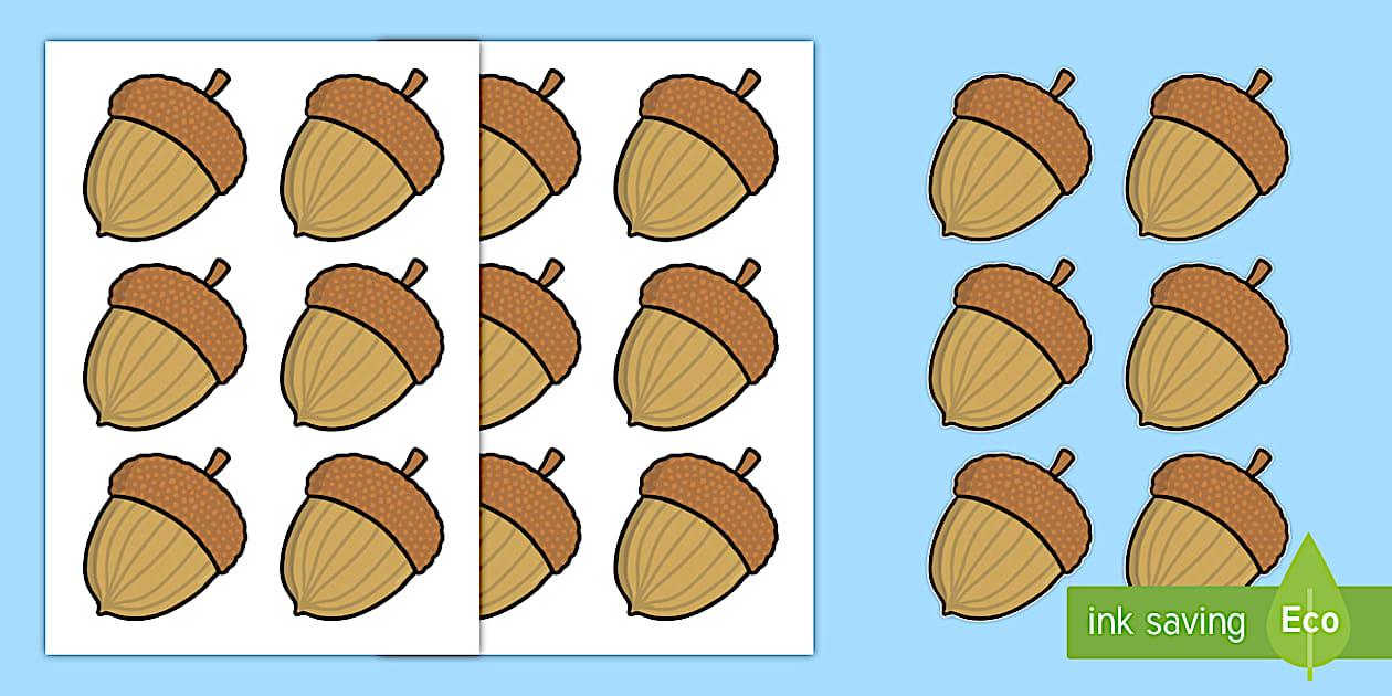 20 Acorn Cut-Outs (teacher made) - Twinkl