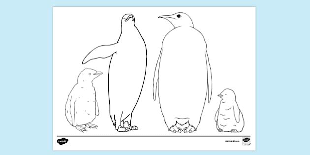 Colouring Page of Penguins to Print | Colouring Sheets