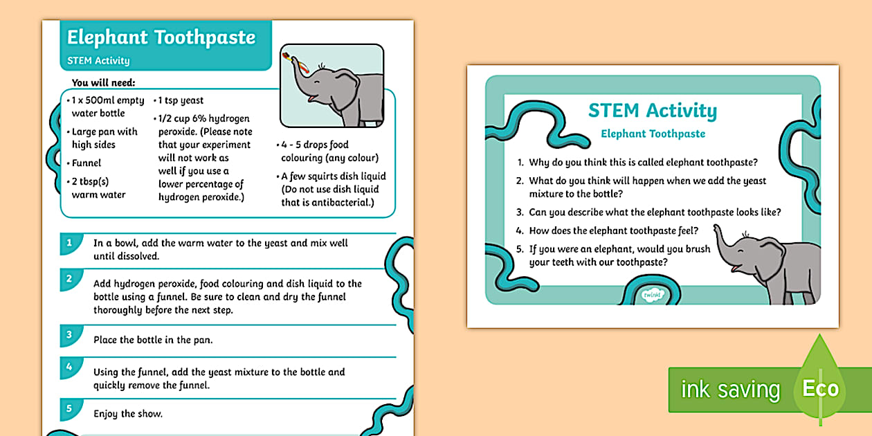 TAS Elephant Toothpaste STEM Activity (teacher made)