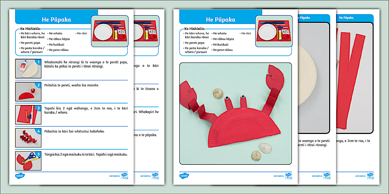 He Papaka - He Mahi Toi (Teacher-Made) - Twinkl