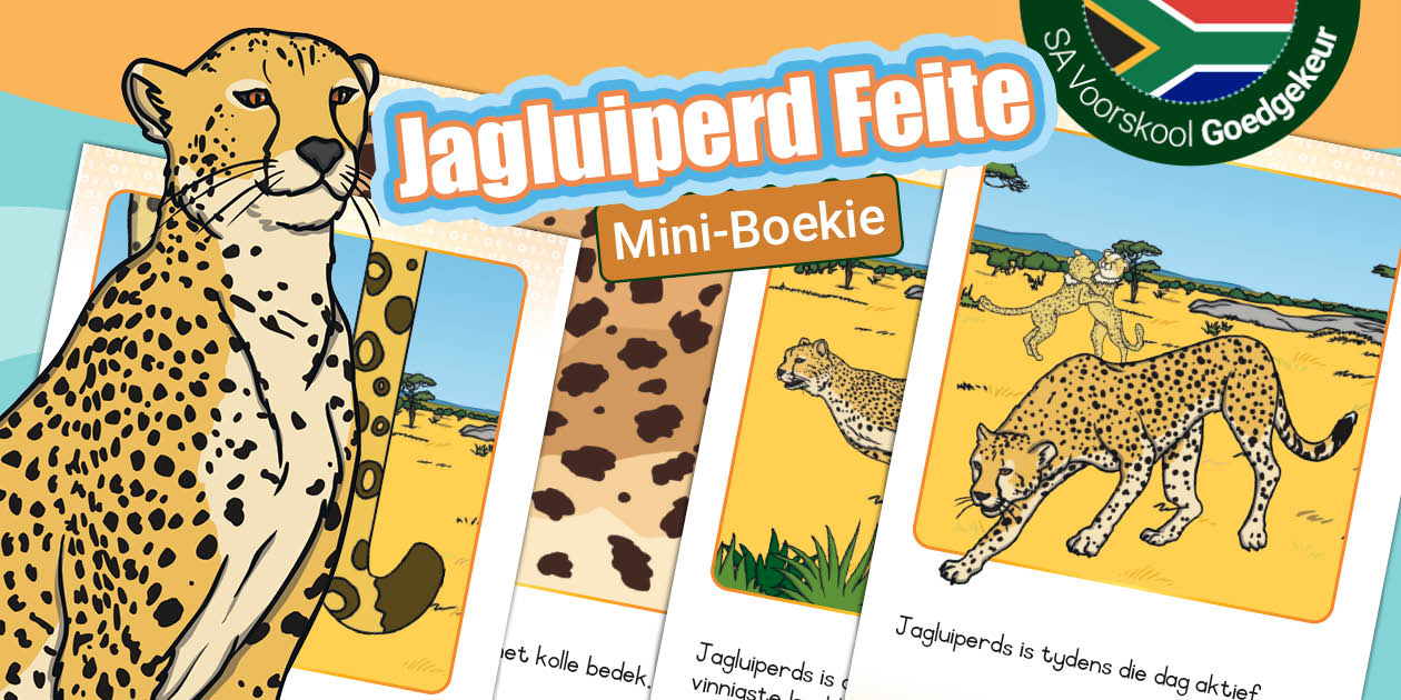 VS - Ons Gaan Op Safari - Feite Oor Jagluiperd Mini Boekie