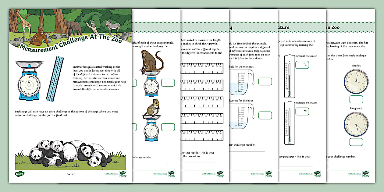 Measurement Challenge At The Zoo (Teacher-Made) - Twinkl