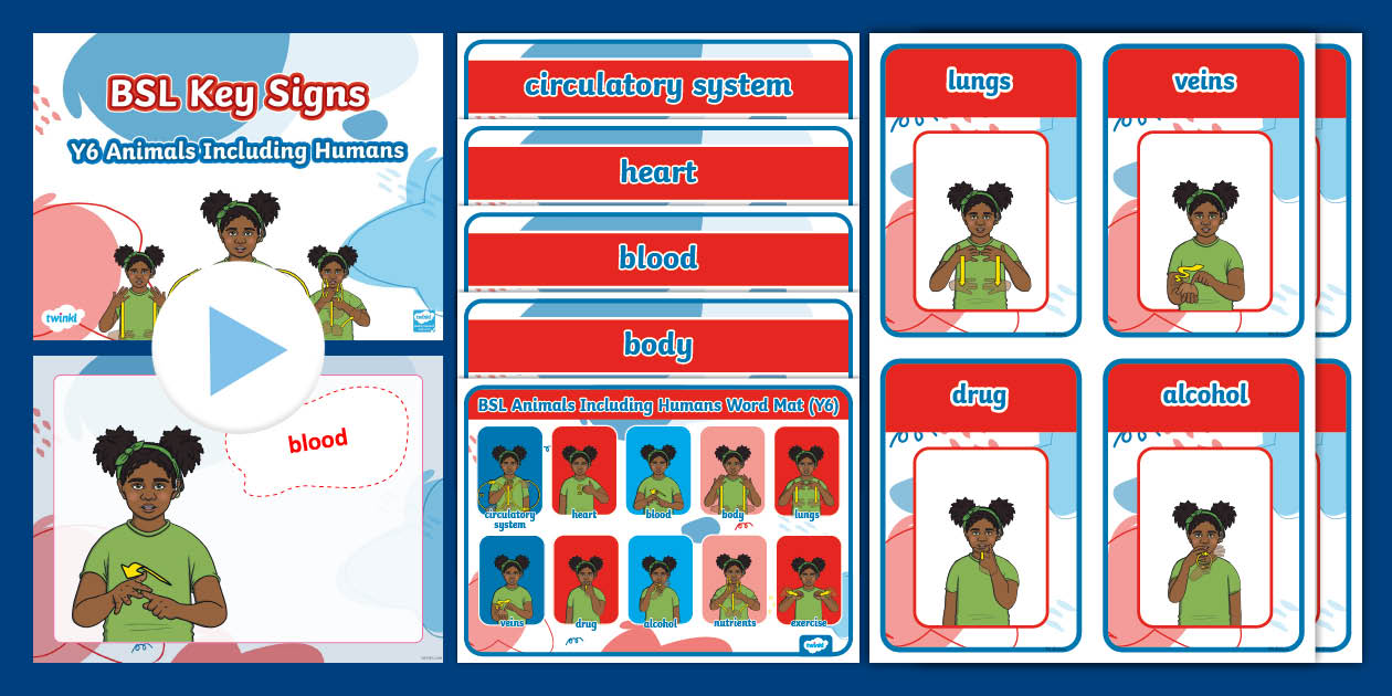 BSL Animals Including Humans Sign Support Pack (Y6) - Twinkl