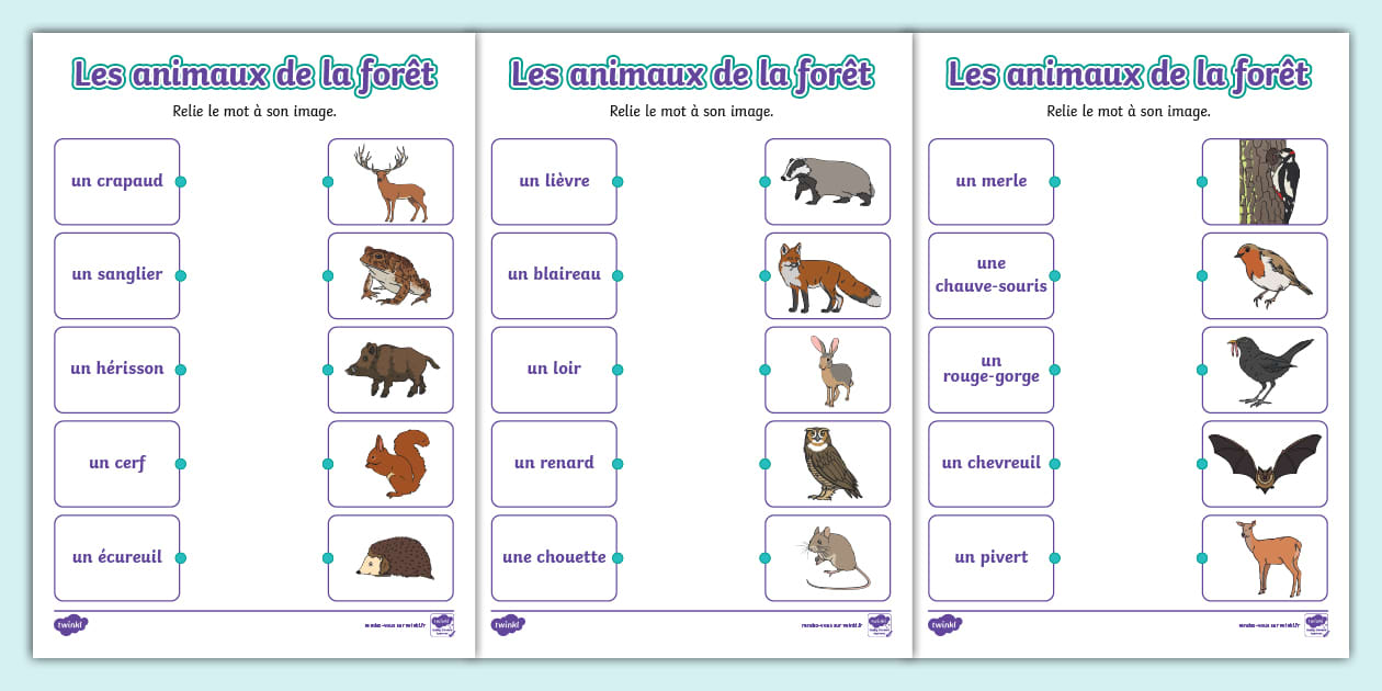 Activité de paires : les animaux de la forêt - Twinkl