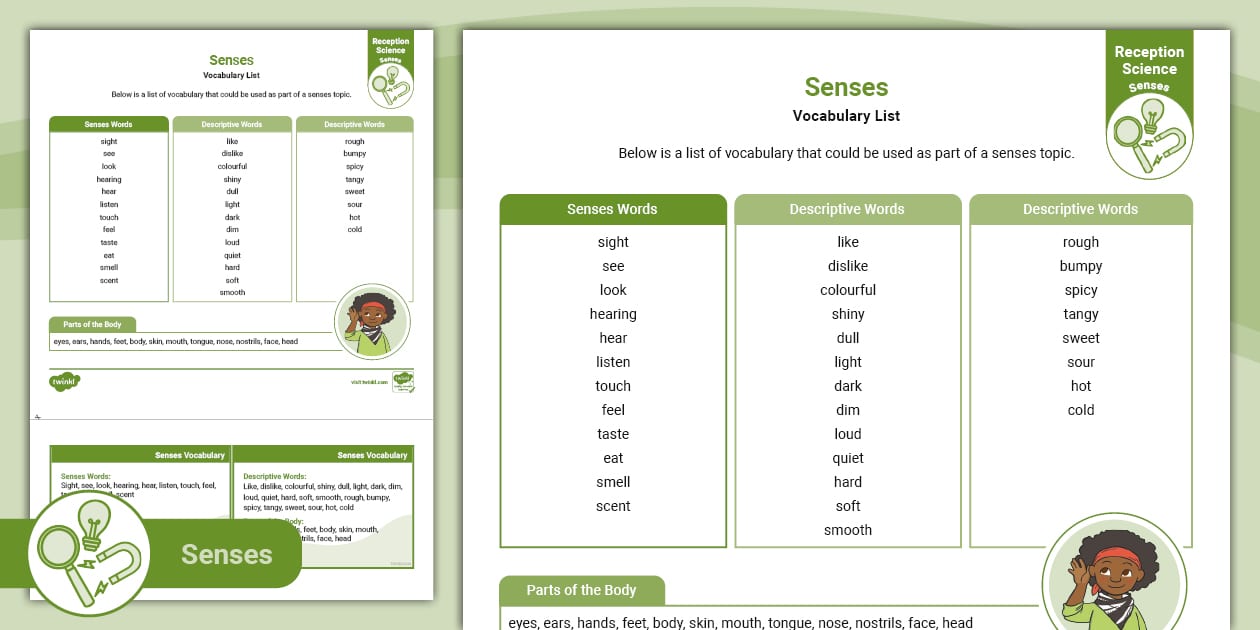 Senses Vocabulary List with Lanyard Insert | Twinkl - Twinkl
