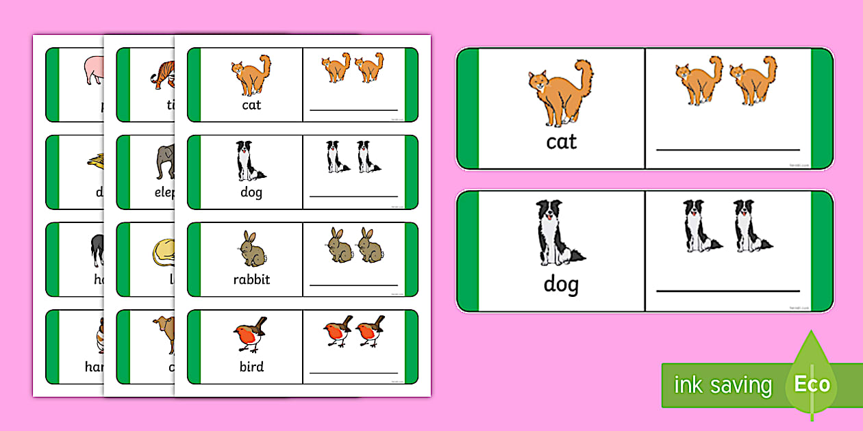 Fill in The Regular Plural Cards (teacher made) - Twinkl