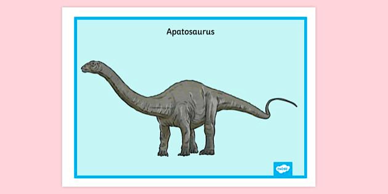 Apatosaurus Display Poster | Primary Resources - Twinkl