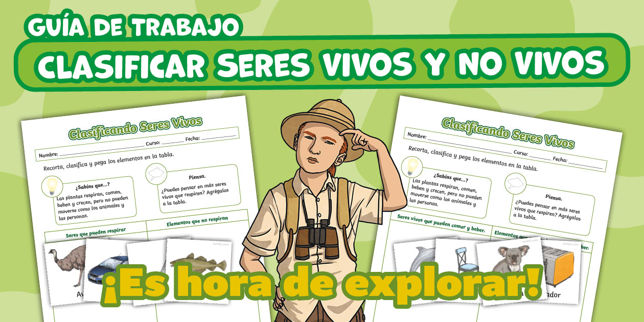 Guía | Trabajo | Clasificar | Seres vivos | No Vivos
