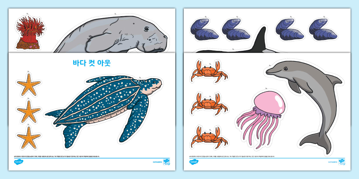 * NEW * 바다 컷 아웃 | Ocean Display Cut-Outs - Twinkl