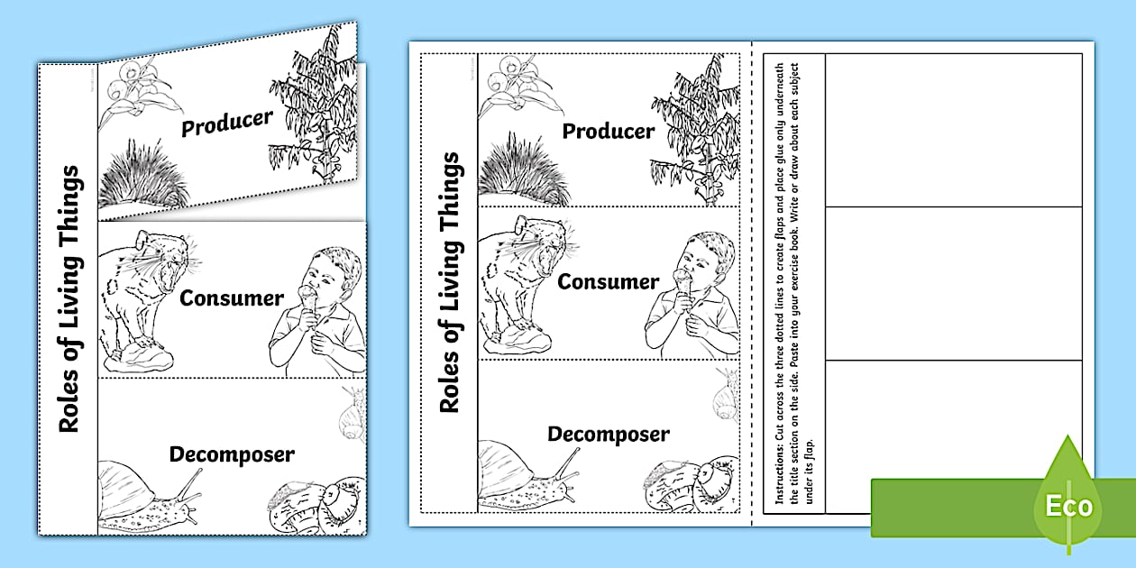 Roles of Living Things Writing Flaps Frames - AC9S4U01