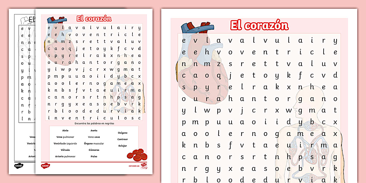 Sopa de letras: El corazón | Recursos Educativos Twinkl