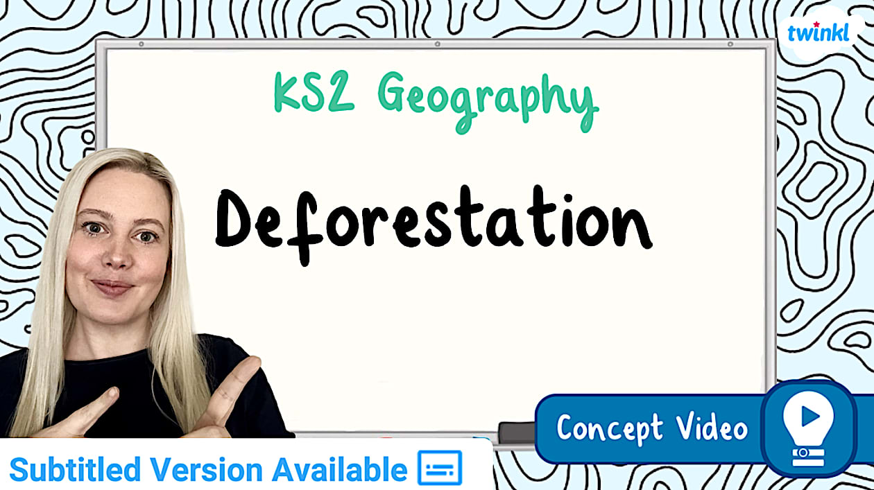 Deforestation | KS2 Geography Concept Video
